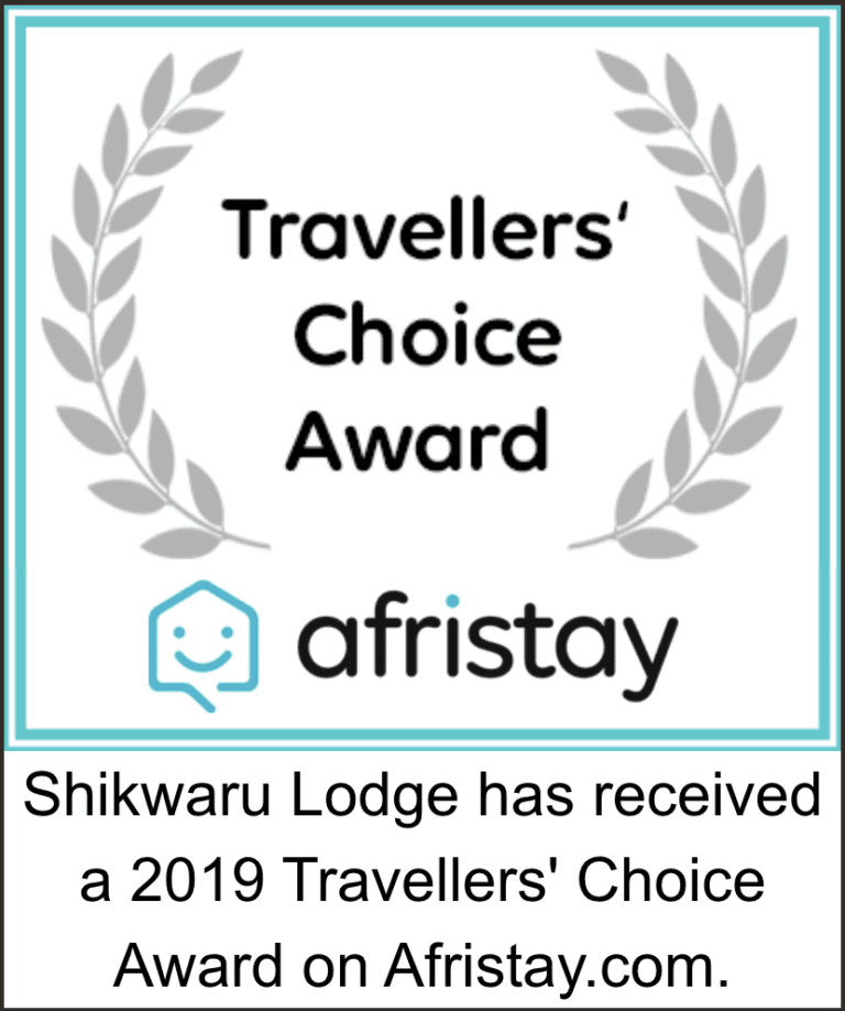 HOME [shikwaru.co.za]